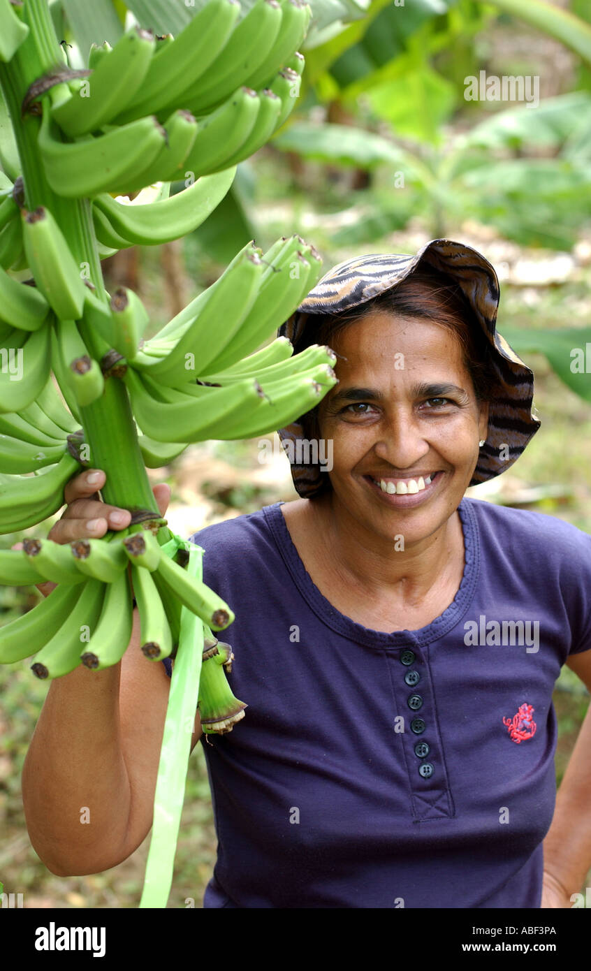 Fairtrade banana farmer, Dominica, Caribbean Stock Photo - Alamy