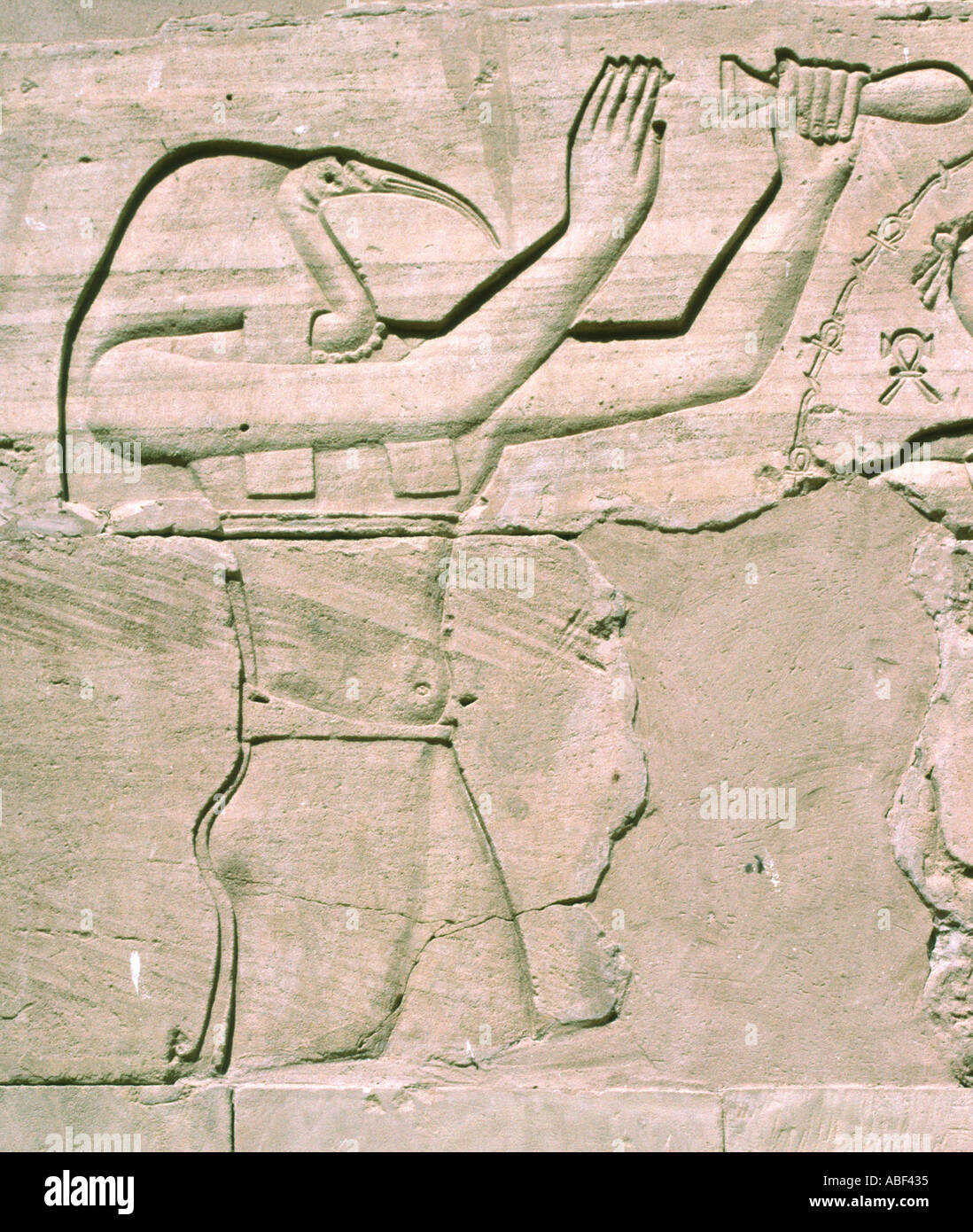 Carving of Thoth the Egyptian god of writing. In the courtyard of ...