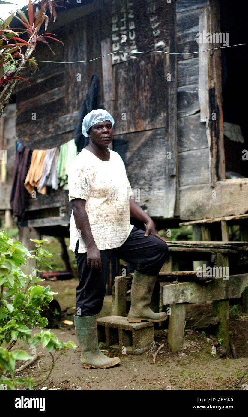 Maria Porter farmer St Vincent Stock Photo - Alamy