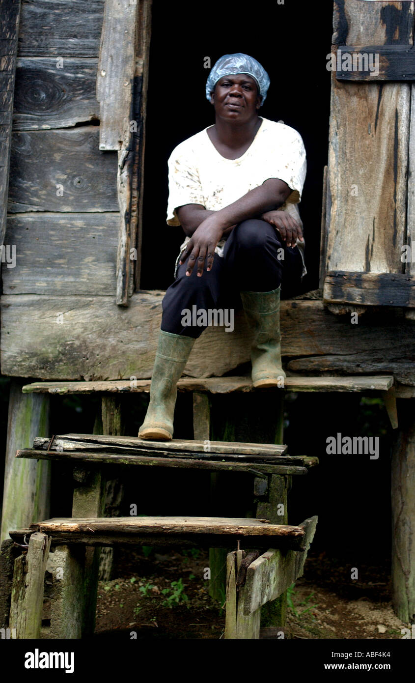 Maria Porter farmer St Vincent Stock Photo - Alamy