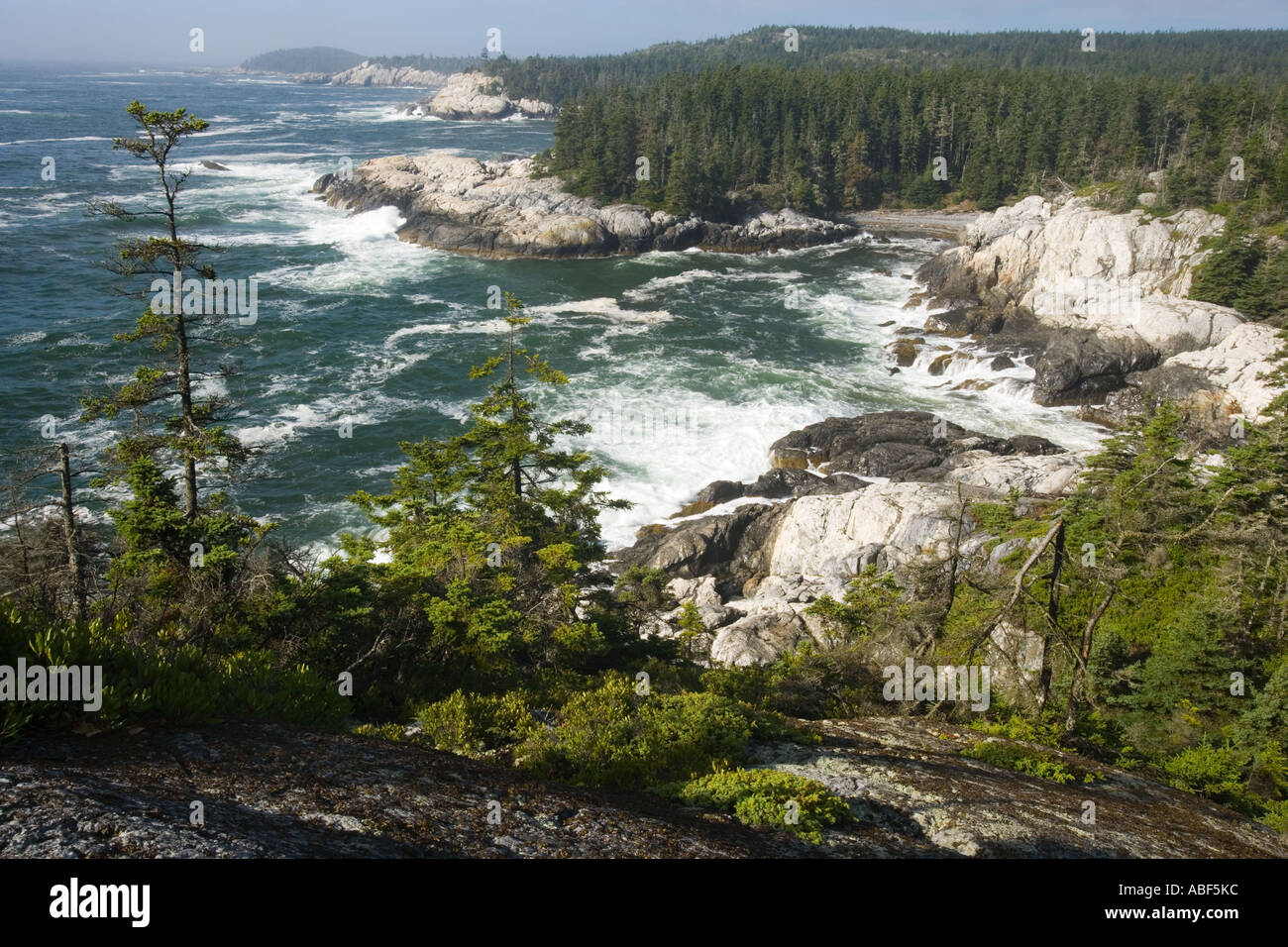 The Isle Au Haut coastline as seen from the Goat Trail above Squeaker ...
