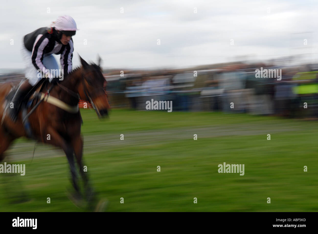 Horse and Jockey race at National Hunt point to point, UK Stock Photo ...
