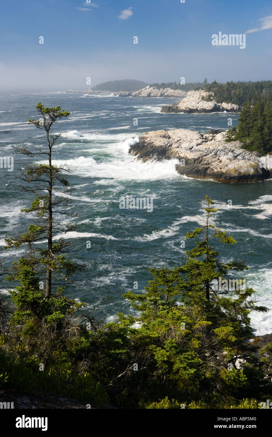 The Isle Au Haut coastline as seen from the Goat Trail above Squeaker ...