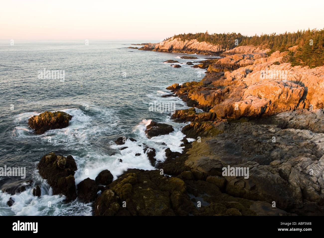 The rocky coast of Isle au Haut in Maine s Acadia National Park Cliff ...