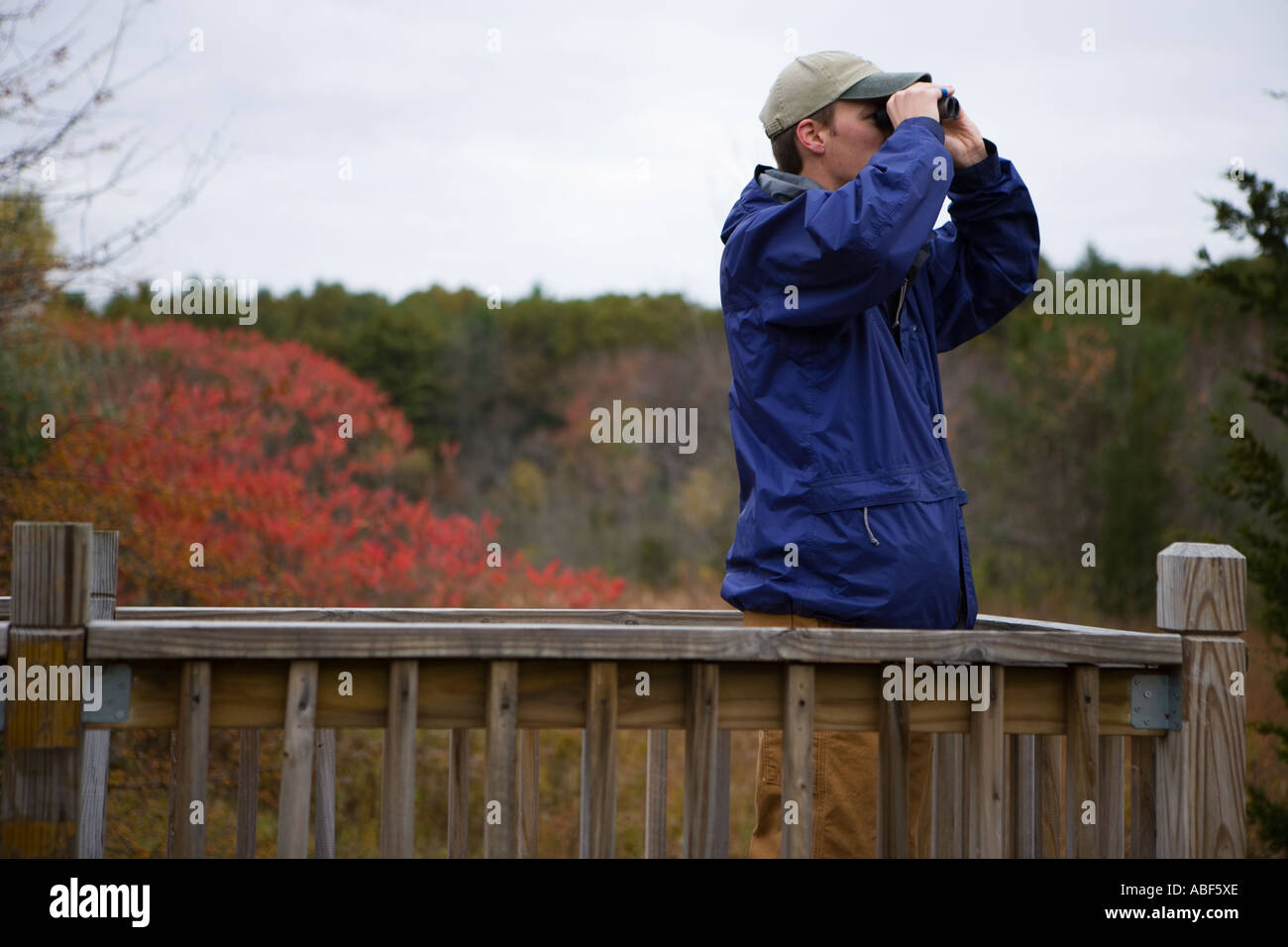 Birdwatching platforms hi-res stock photography and images - Alamy