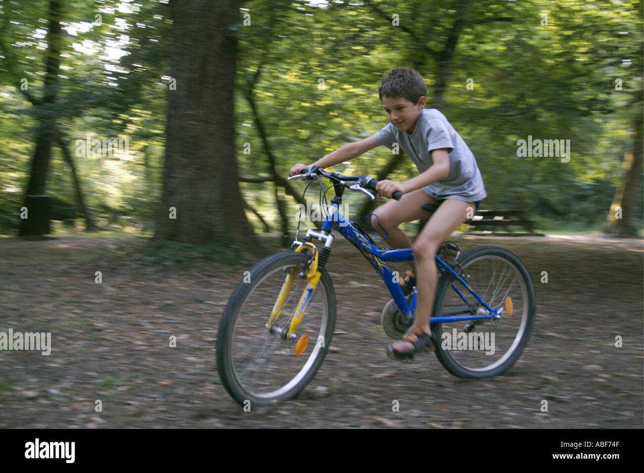 Boy having fun riding alone on his bike in a forest, Canejan, Gironde ...