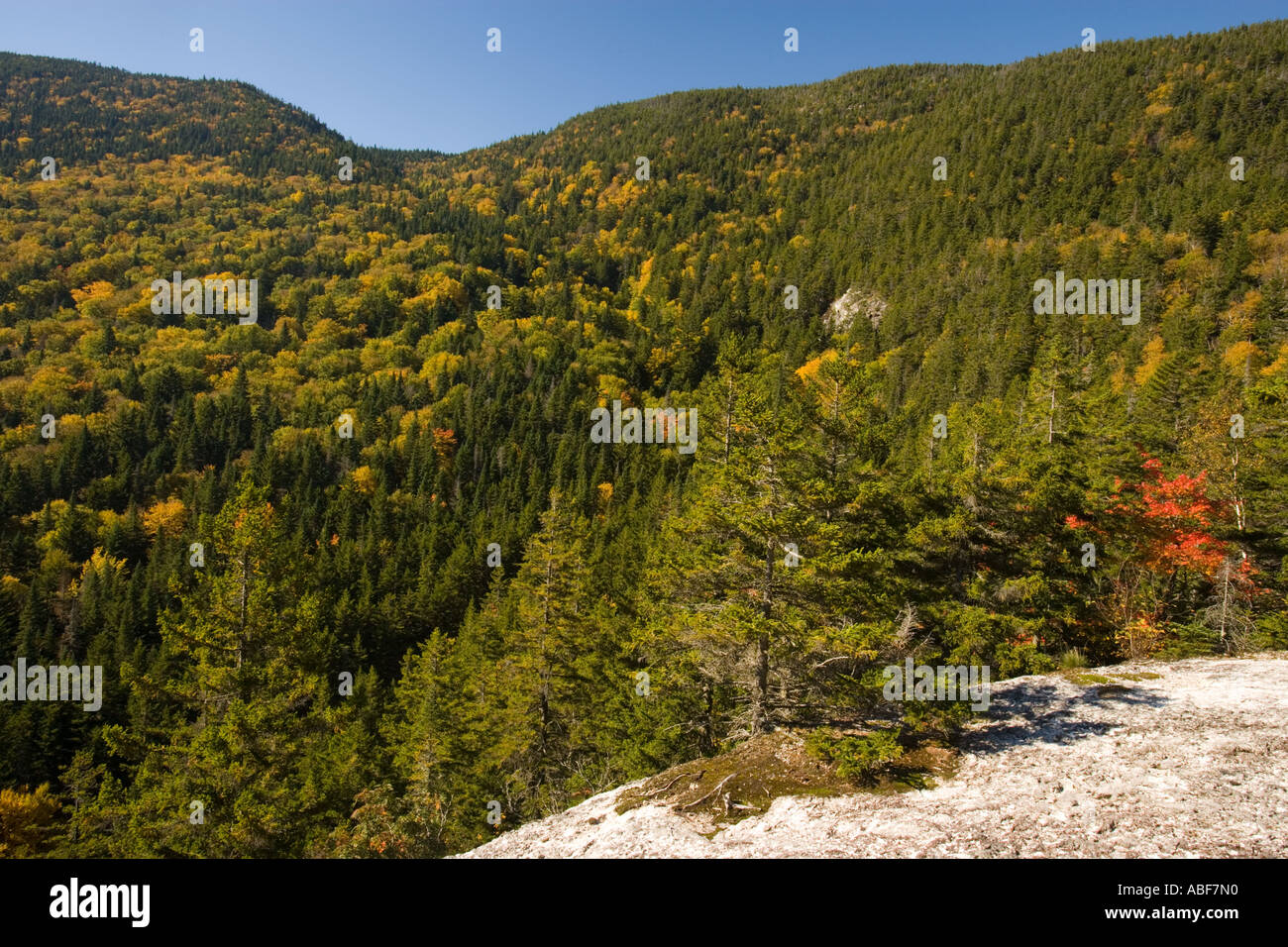 Huge notch hi-res stock photography and images - Alamy