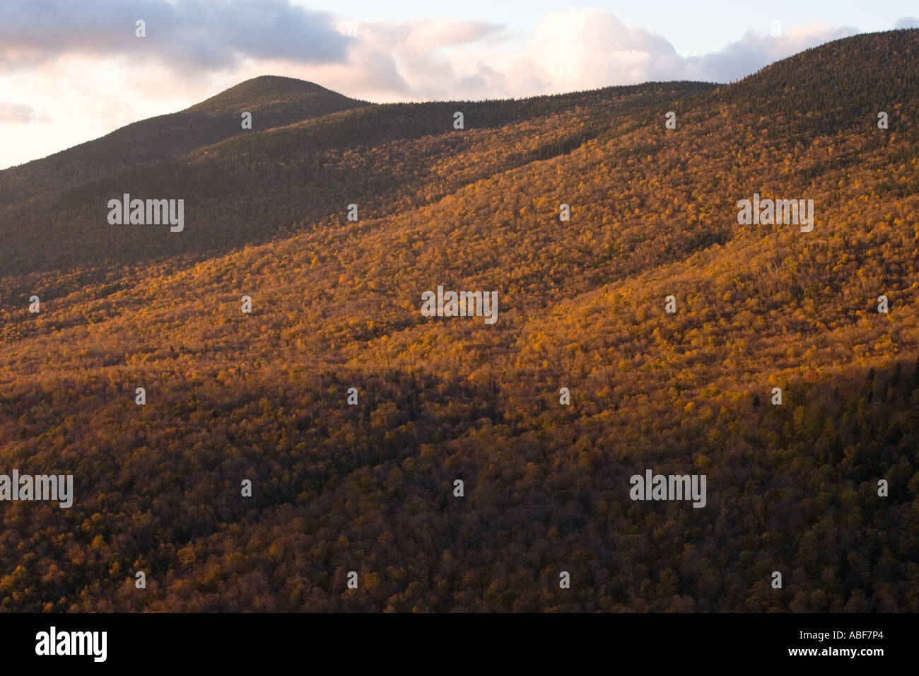 Huge notch hi-res stock photography and images - Alamy