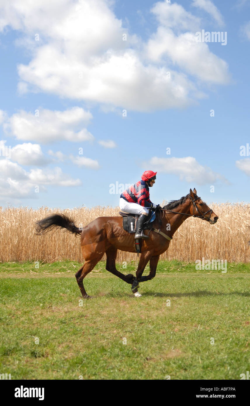 National Hunt racing at the Taunton Vale point to point Stock Photo - Alamy
