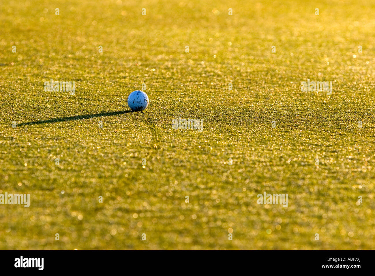 Ball on green in dew Stock Photo - Alamy