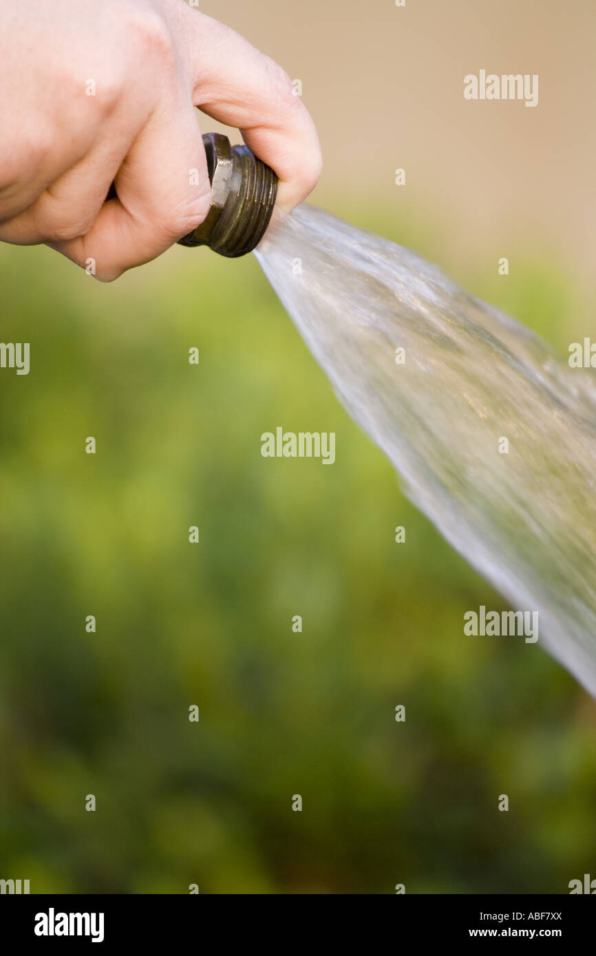 Female hand watering garden with hose Stock Photo - Alamy