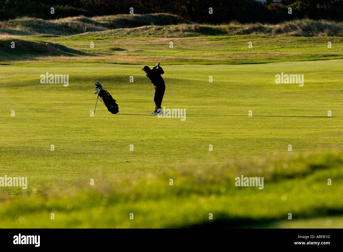 Golfer, approach shot Stock Photo - Alamy