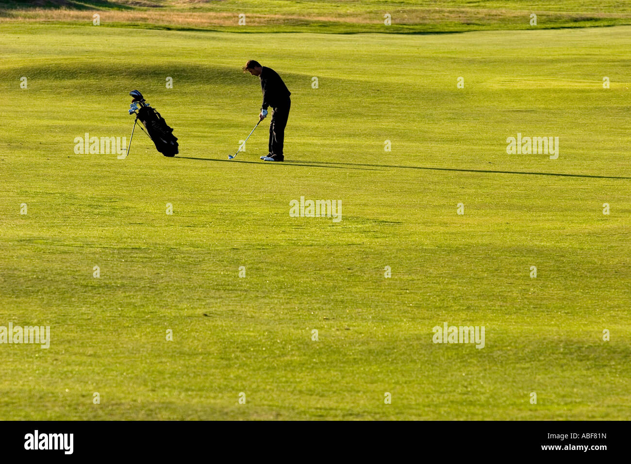 Golfer, approach shot Stock Photo - Alamy