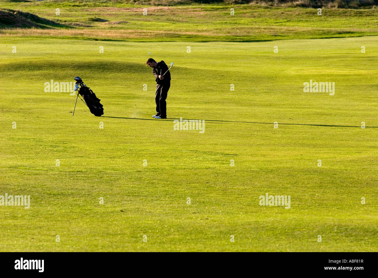 Golfer, approach shot Stock Photo - Alamy