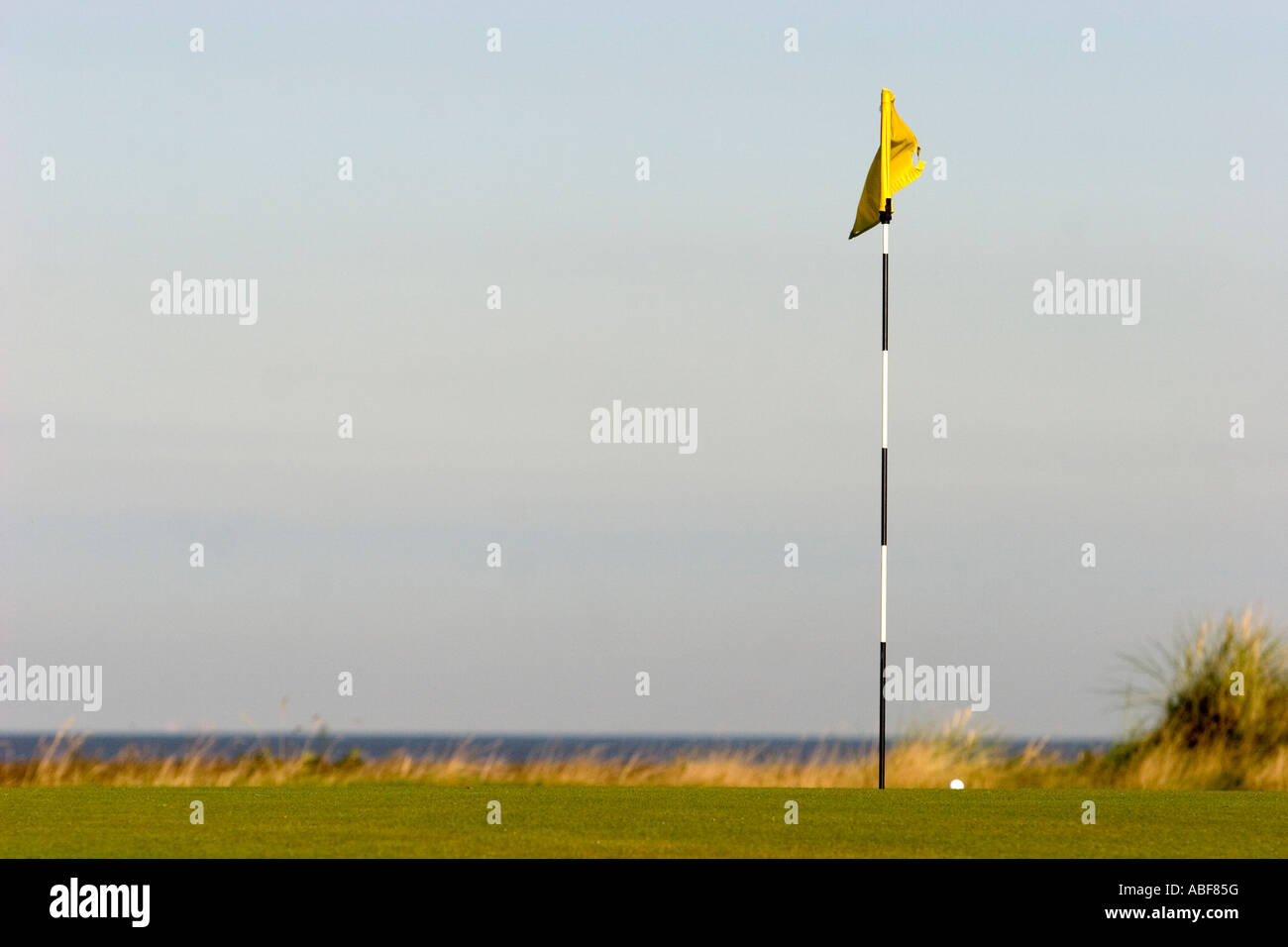 White and black pin flag hi-res stock photography and images - Alamy