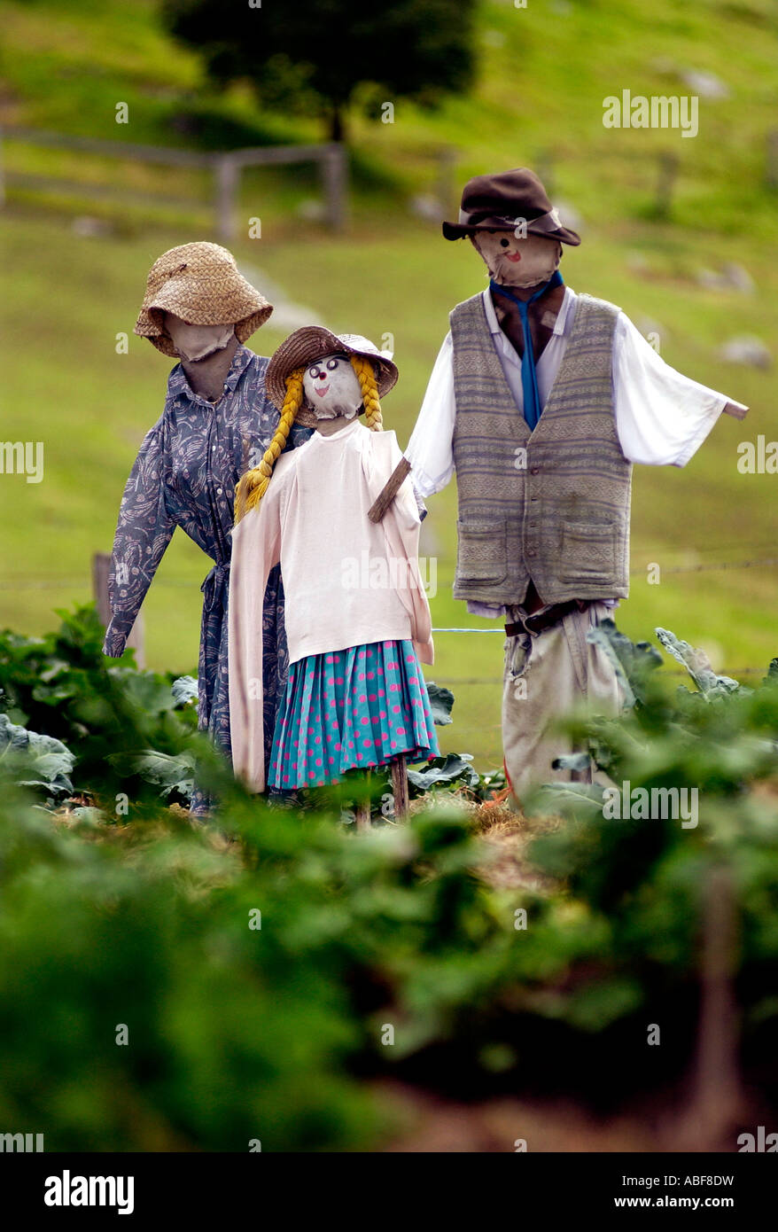 Scarecrow garden farm historic village hi-res stock photography and ...