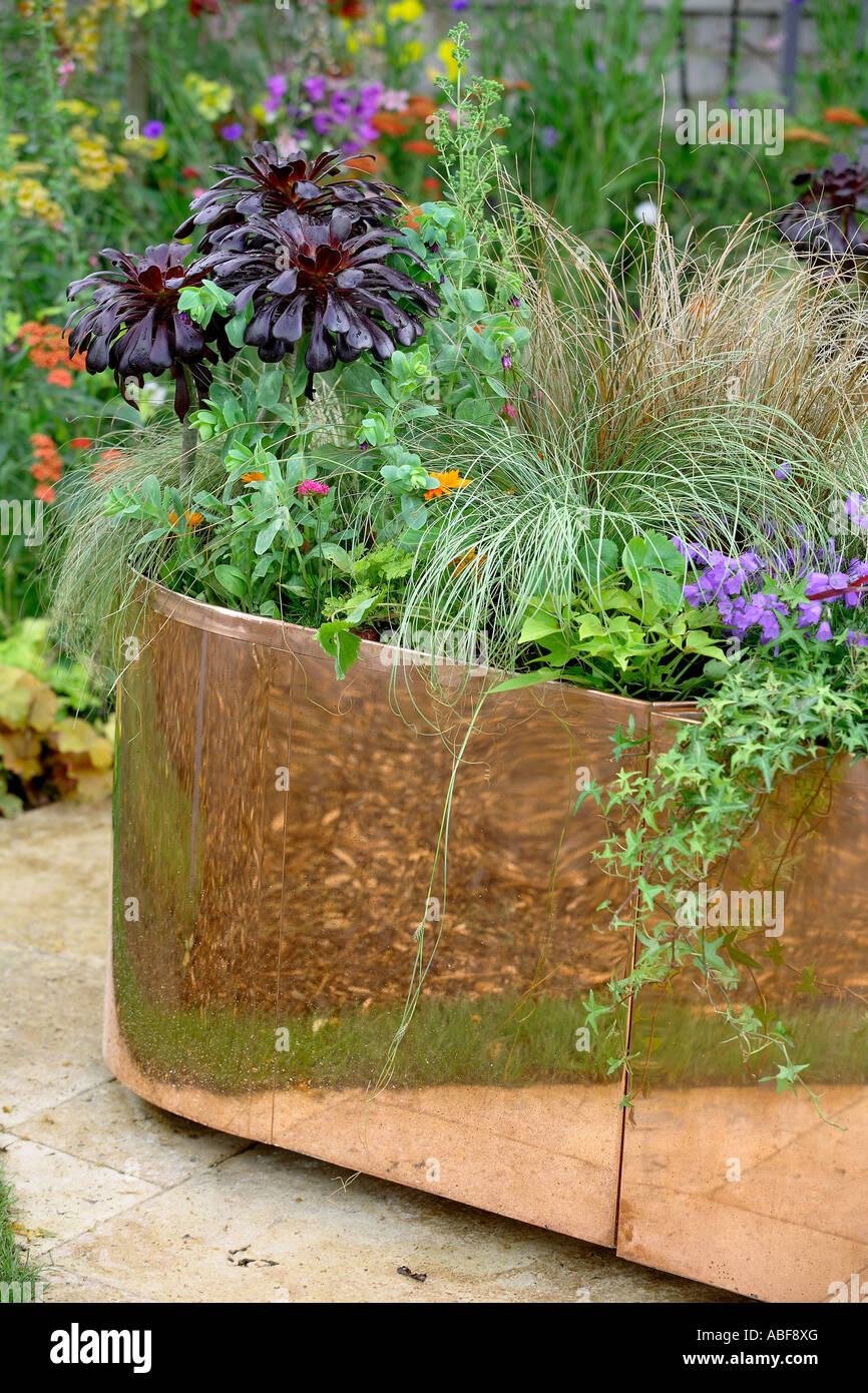 CHOOSE YOUR PATH. DESIGNERS:NEIL GOLDSMITH, SABINA EDWARDS Stock Photo ...