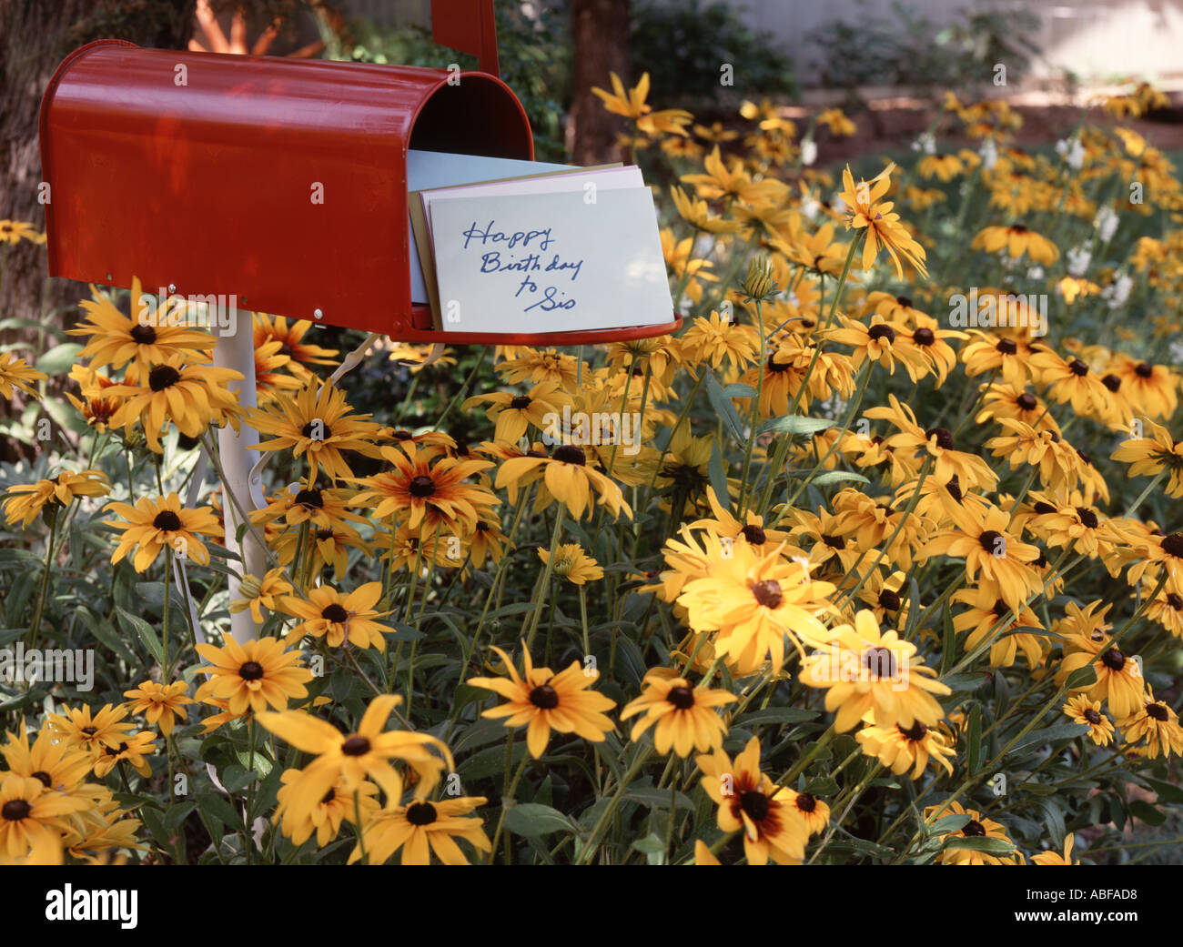 Happy birthday greetings cards envelope hi-res stock photography and ...