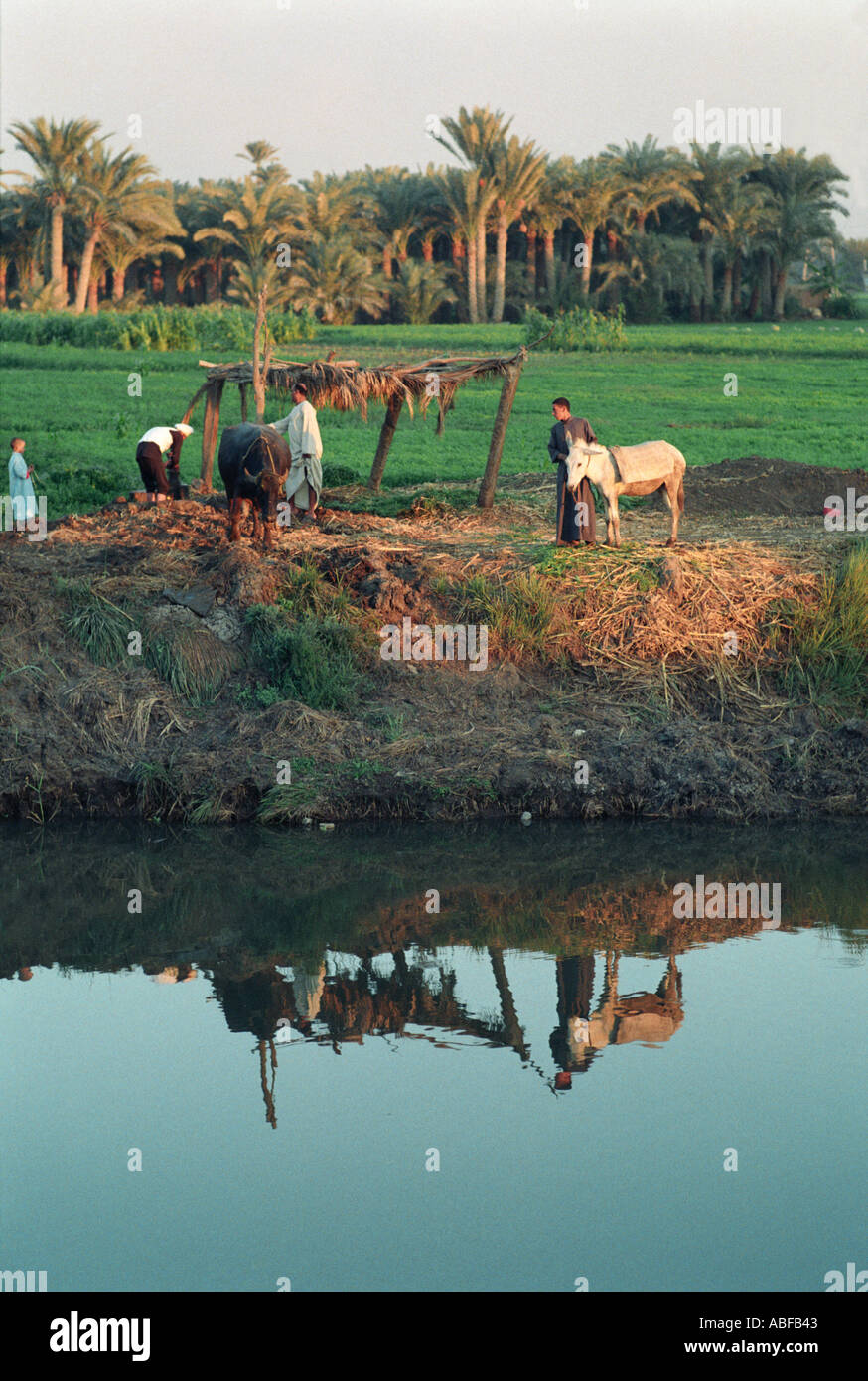 A farming family on the banks of the river Nile Egypt Stock Photo - Alamy