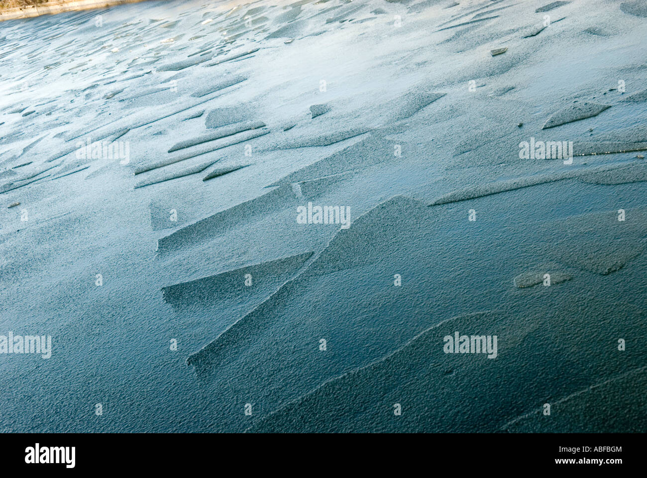 Ice sheets habitat hi-res stock photography and images - Alamy