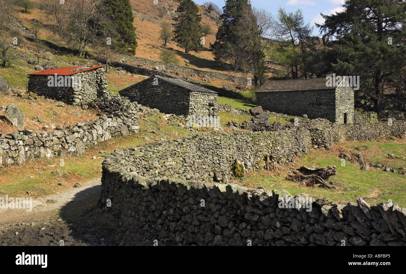 A group of traditional dry stone buildings in the English Lake District ...