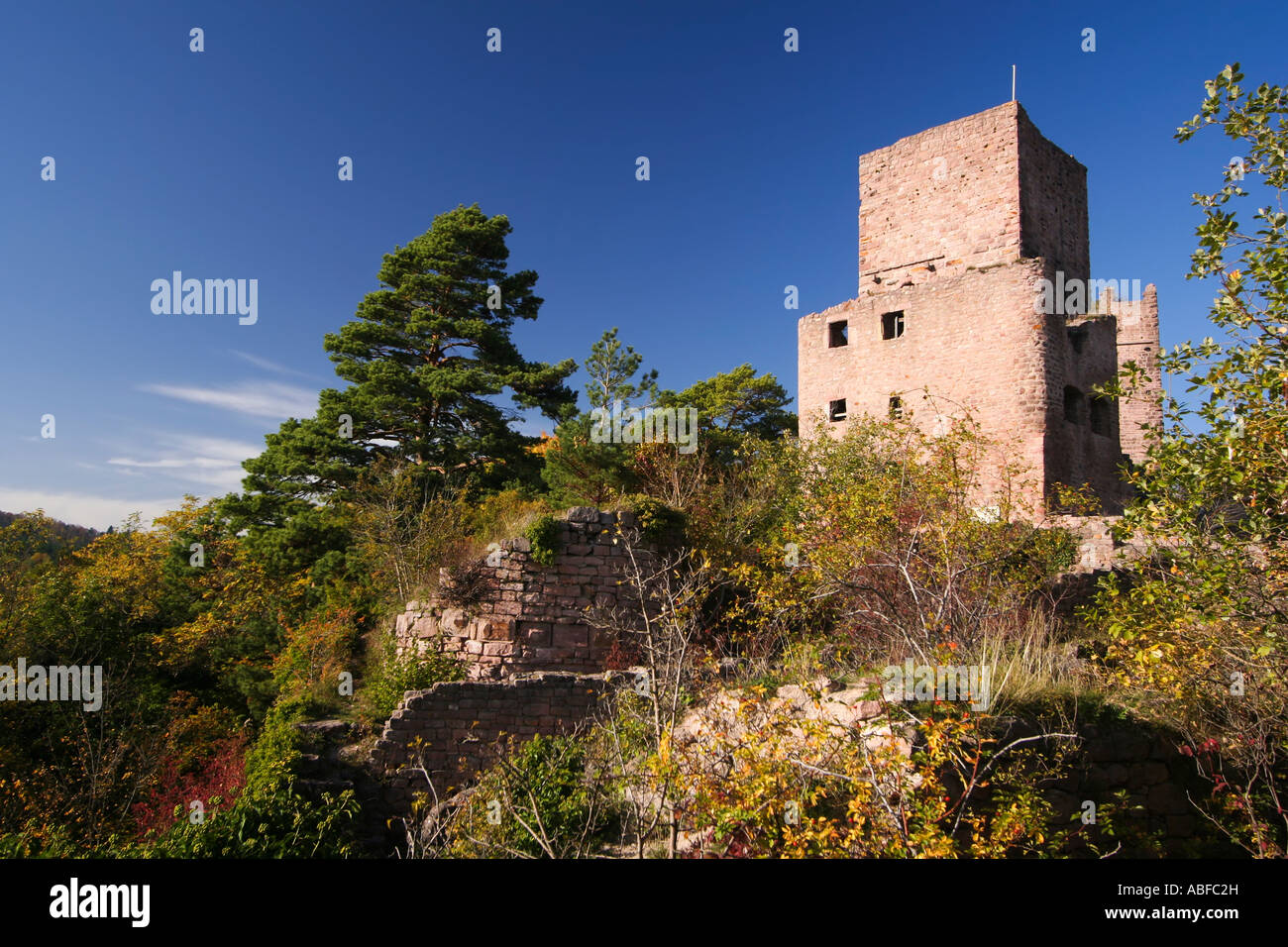 Medieval Dungeon and ruined castle in Alsace, France Stock Photo - Alamy