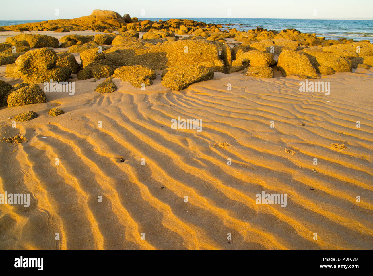Rippled Beach in the Evening Light Stock Photo - Alamy