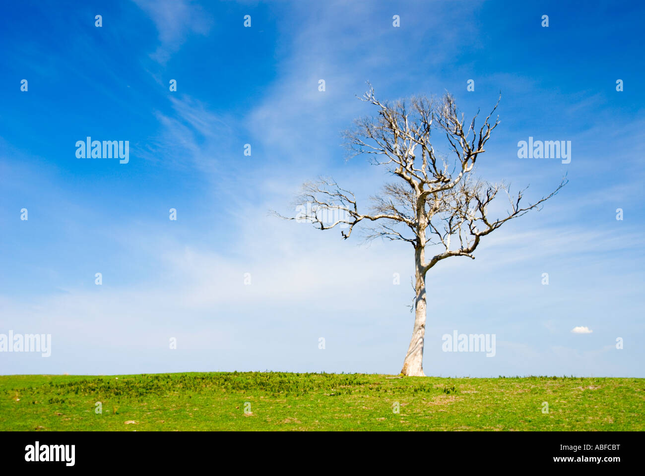 Old dead field hi-res stock photography and images - Alamy