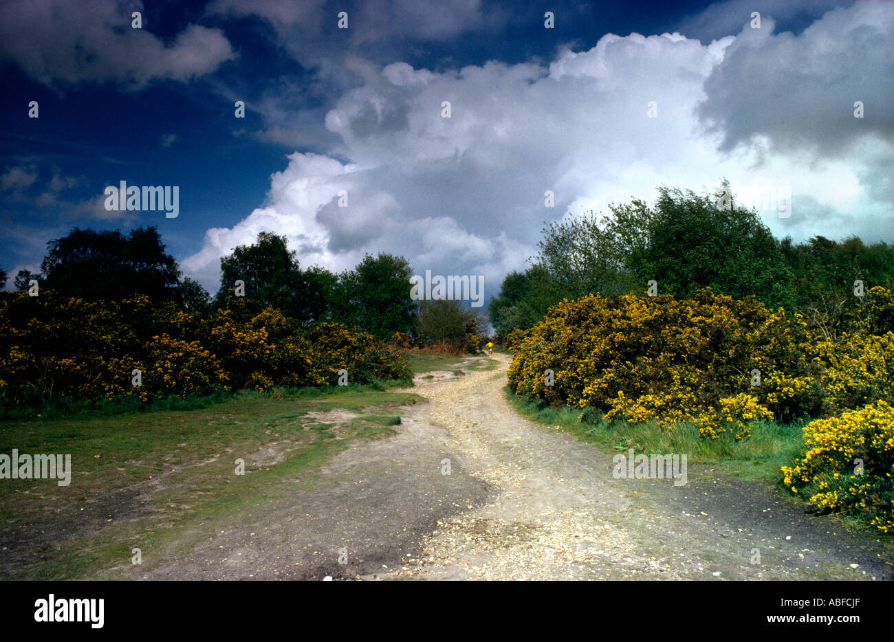 Headley hi-res stock photography and images - Alamy