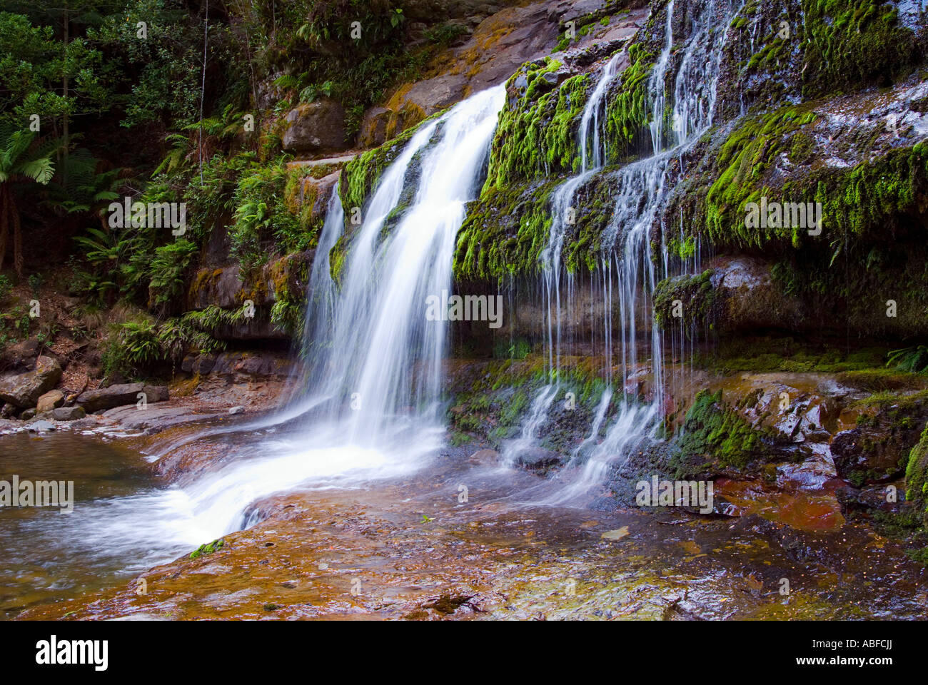 Liffey forest reserve hi-res stock photography and images - Alamy