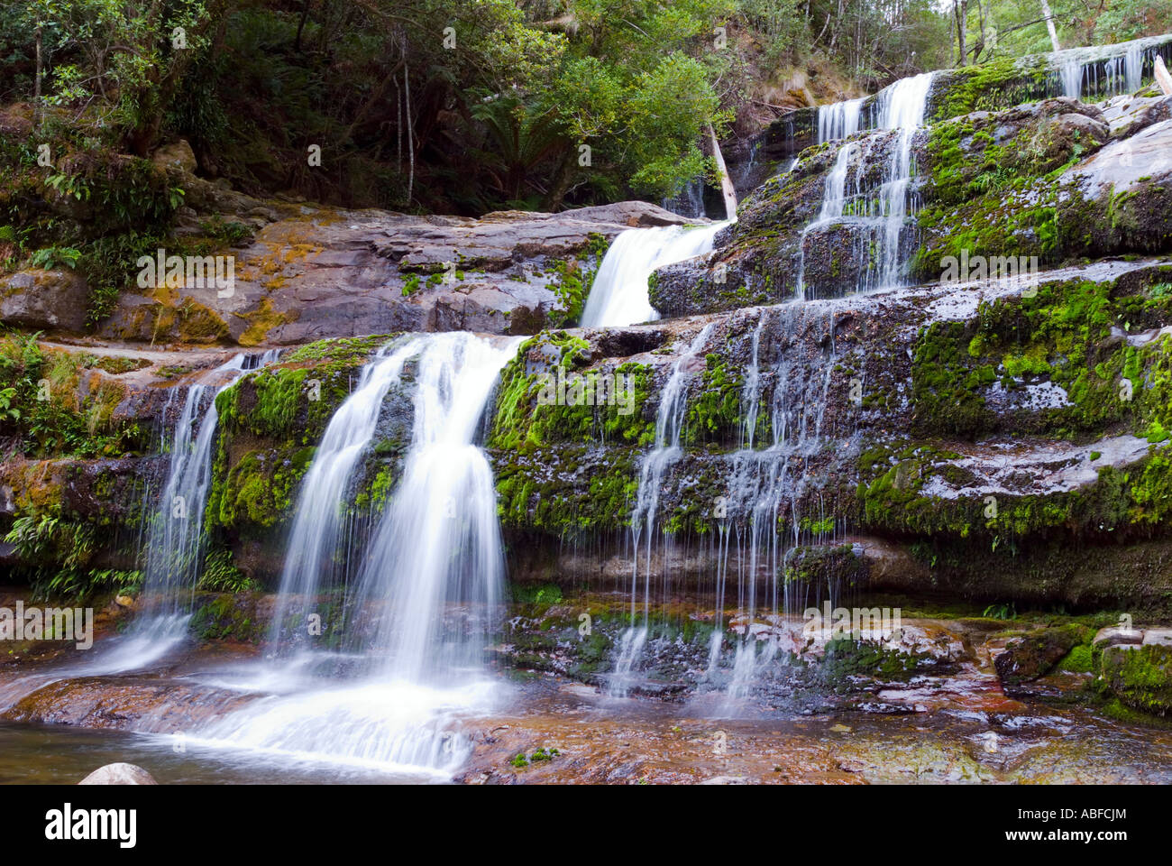 Liffey forest reserve hi-res stock photography and images - Alamy