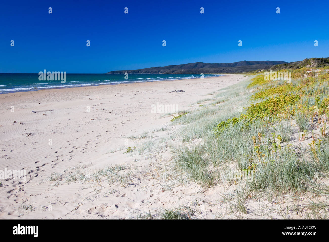 Isolated Australian beach Stock Photo - Alamy