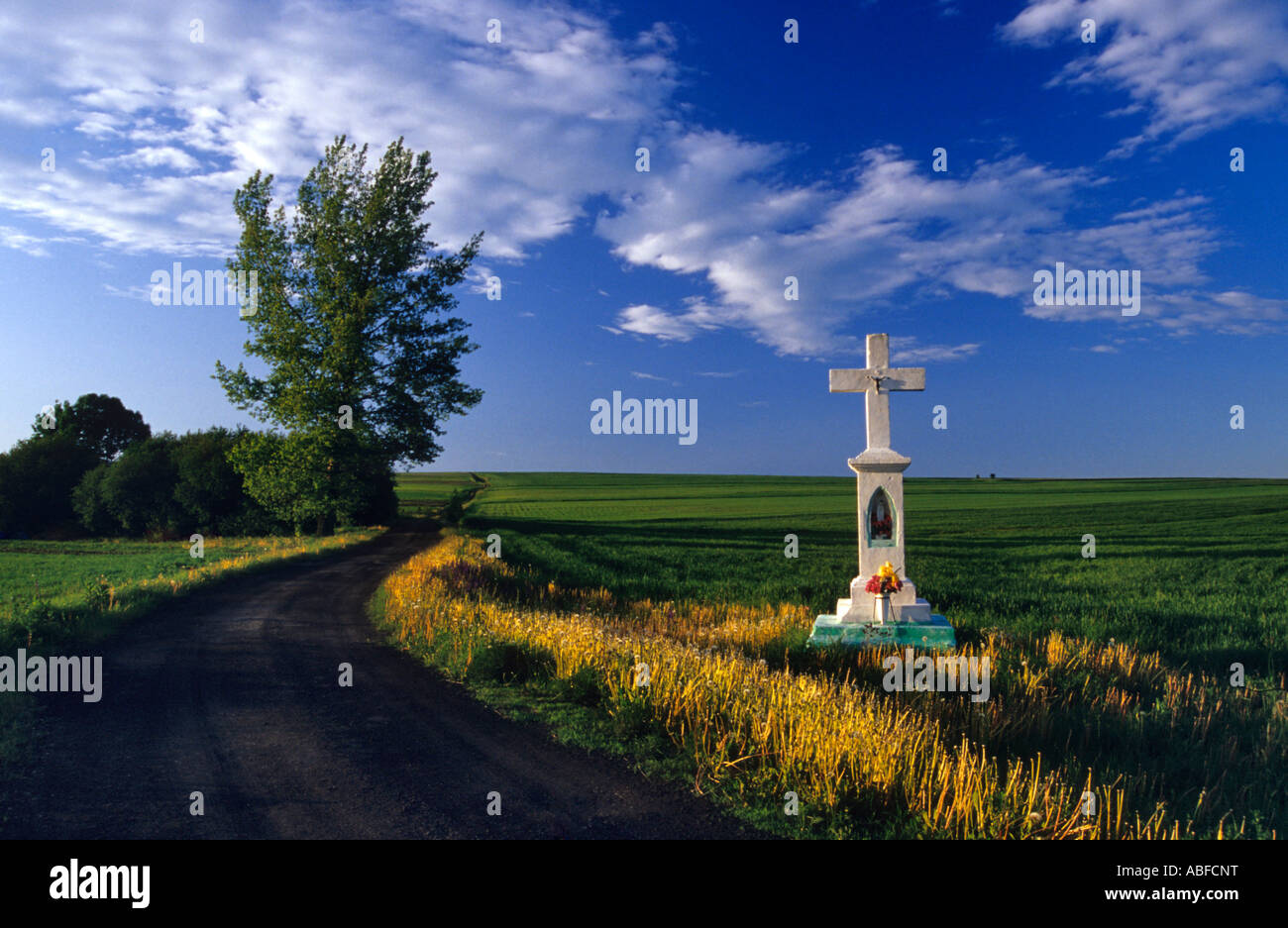 Field cross hi-res stock photography and images - Alamy