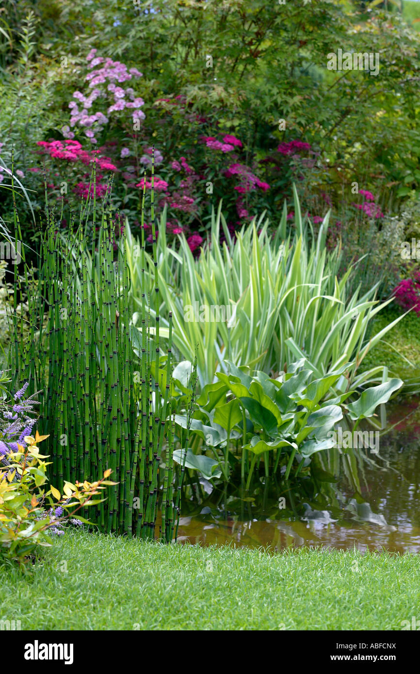 VIEW ACROSS THE WATER. DESIGNER:SIMON HARMAN Stock Photo - Alamy