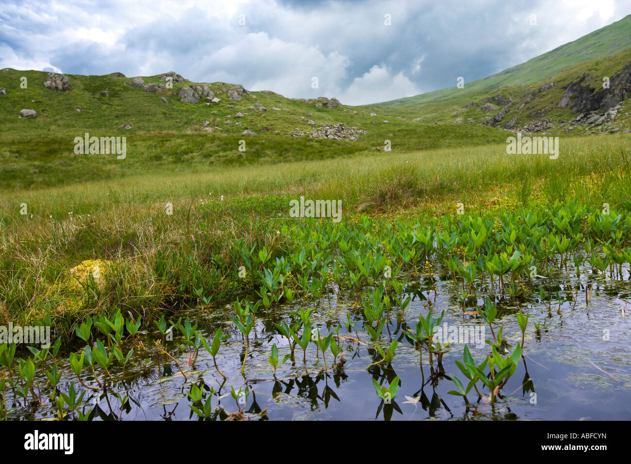 Dale Head Tarn, Dale Head Mountain The Derwent Fells, Keswick Cumbria ...