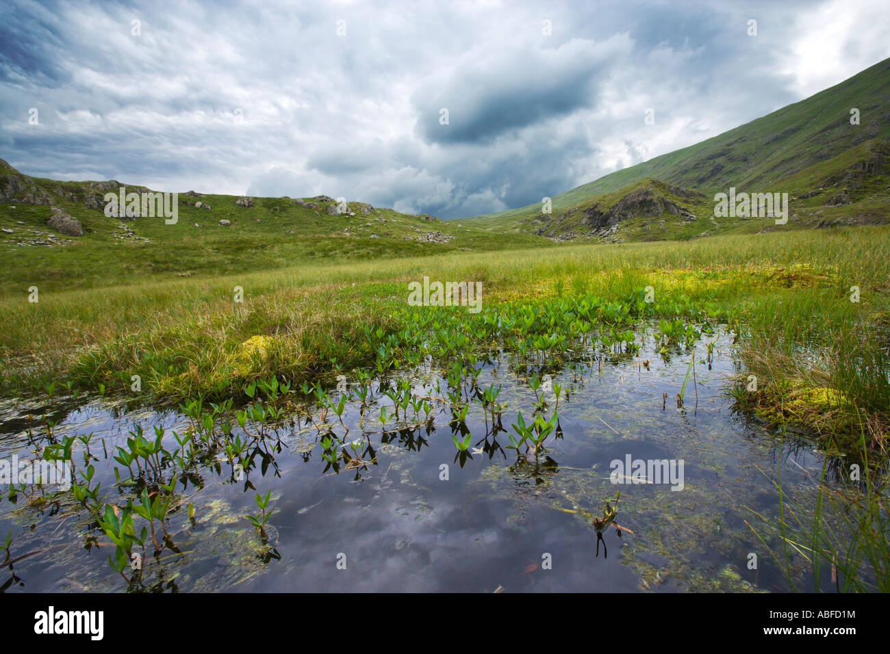 Dale head tarn hi-res stock photography and images - Alamy