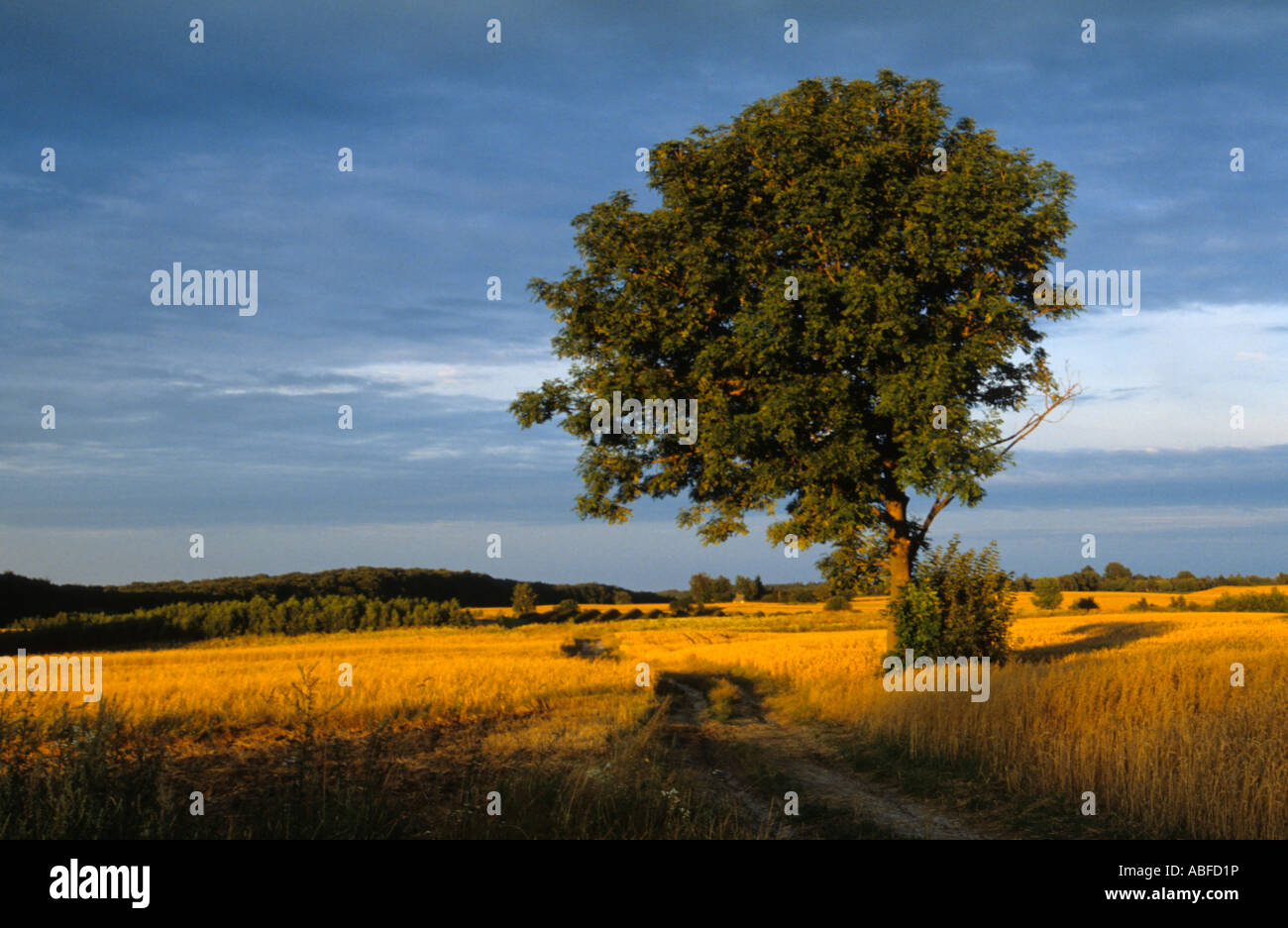 Poland landscape scenery Stock Photo - Alamy