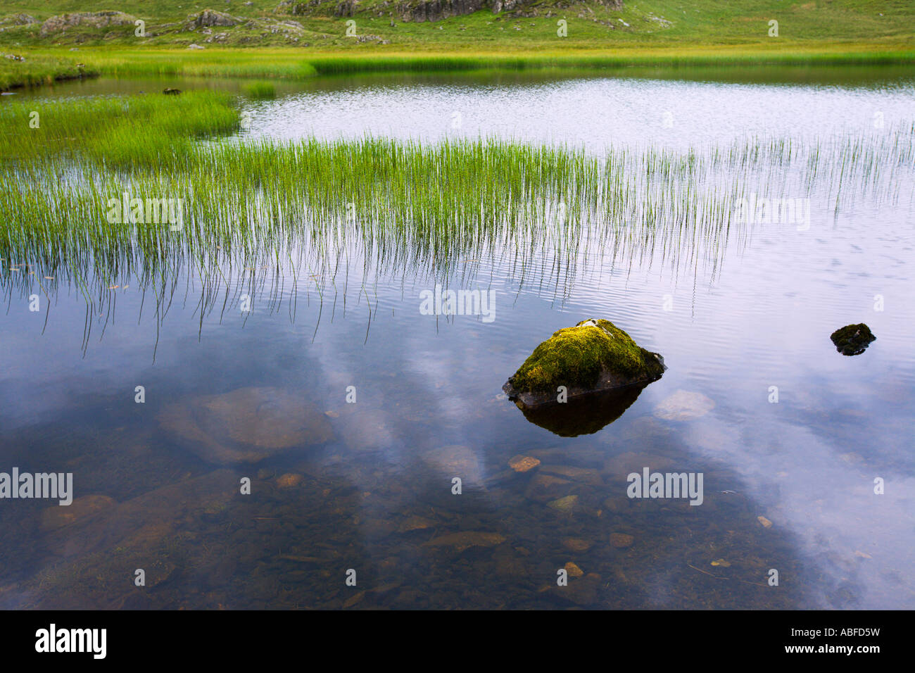 Derwent head hi-res stock photography and images - Alamy