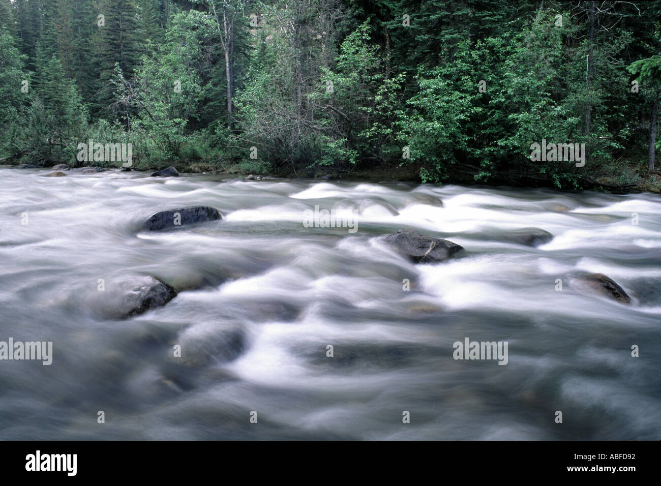 Maligne river Jasper National Park Jasper Alberta Canada Stock Photo ...
