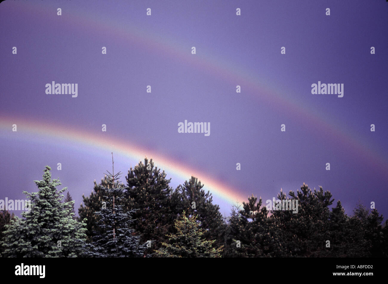 RAINBOW W TREES DARK SKY Seattle Washington Stock Photo - Alamy