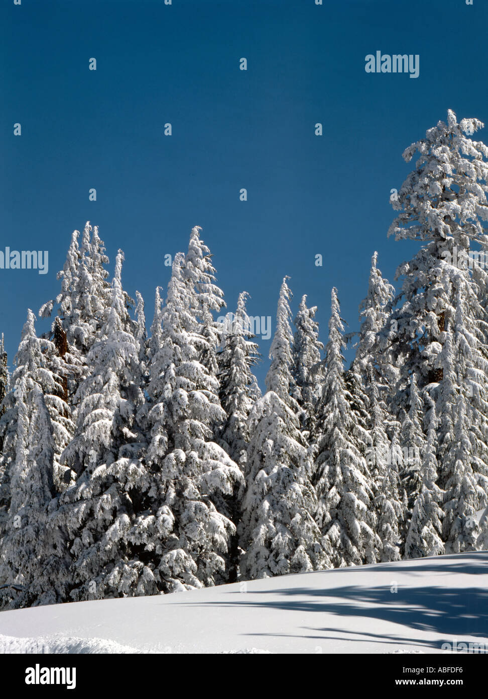 Thin snow hi-res stock photography and images - Alamy