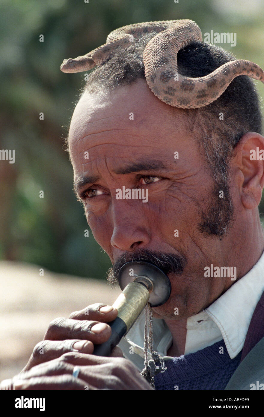 Snake charmer in Marrakesh Morocco Stock Photo - Alamy