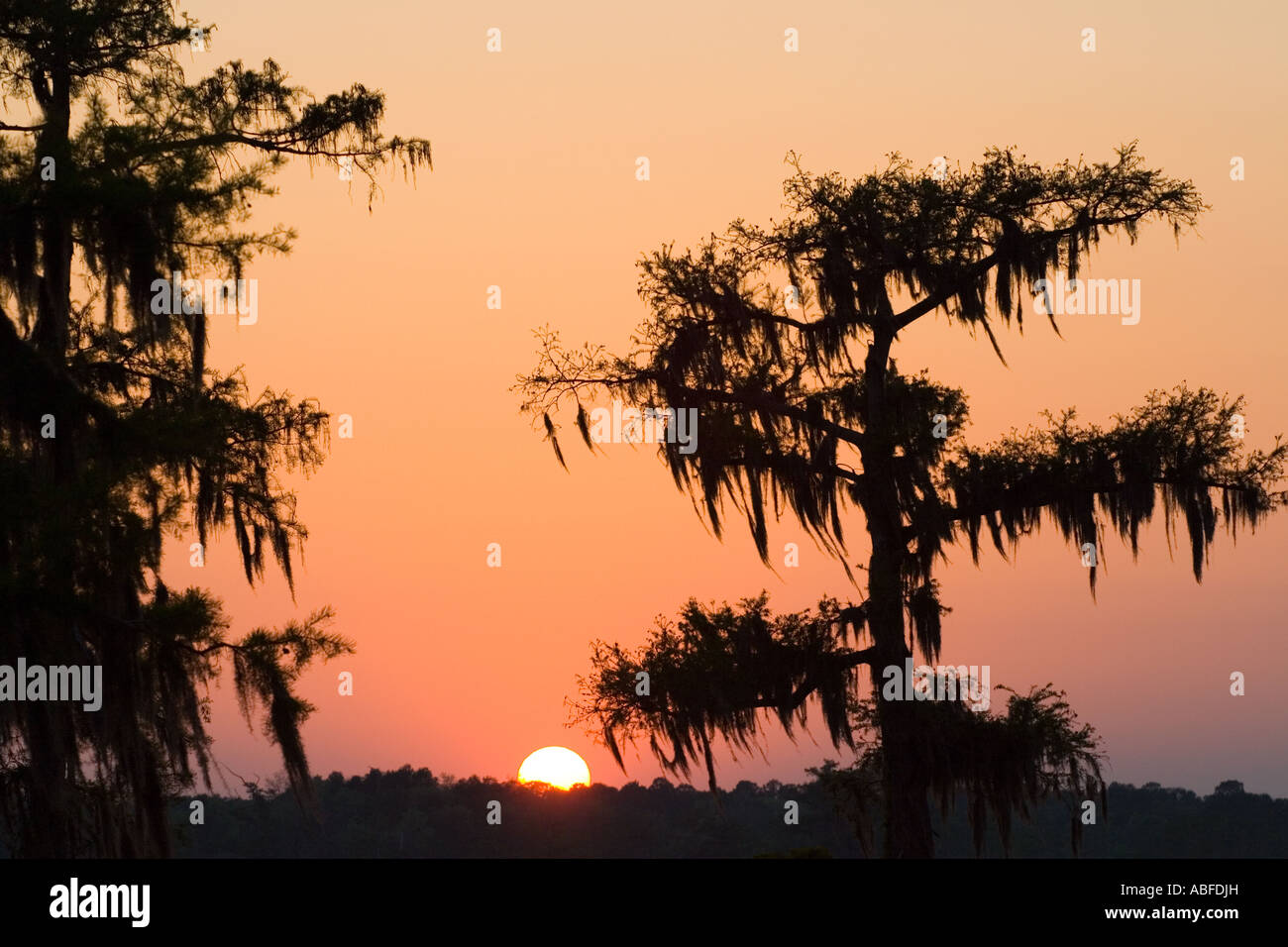 Sunset in swamp Stock Photo - Alamy