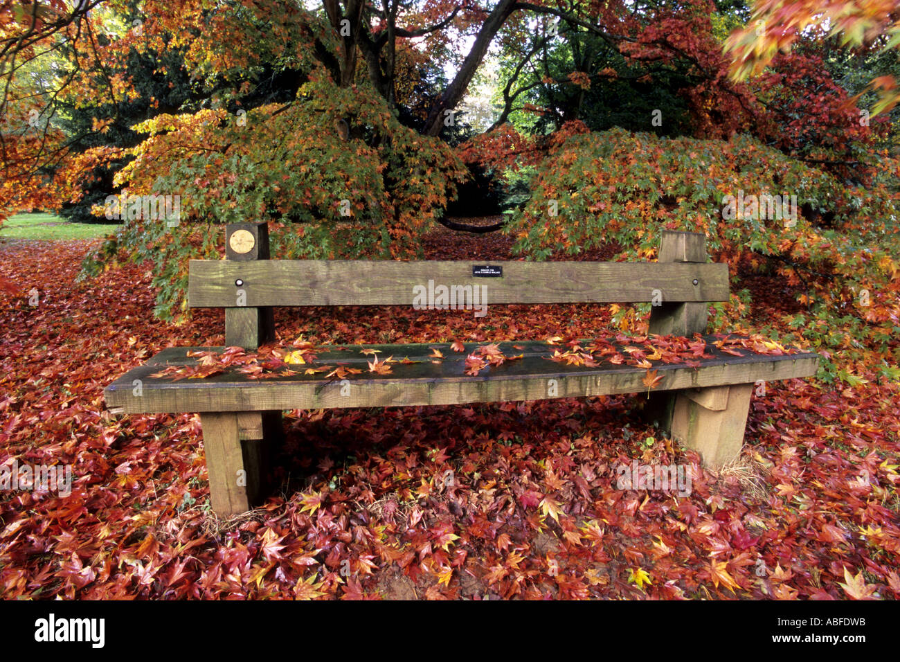 Leafy bench at Westonbirt Arboretum, Gloucestershire, England UK Stock ...