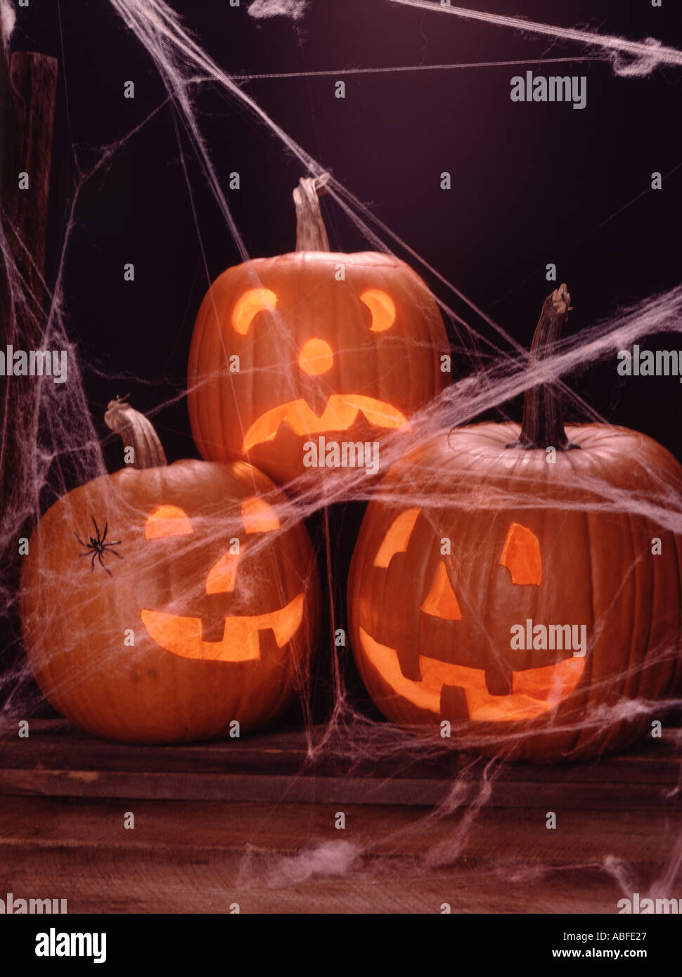 Spider Jack O Lantern