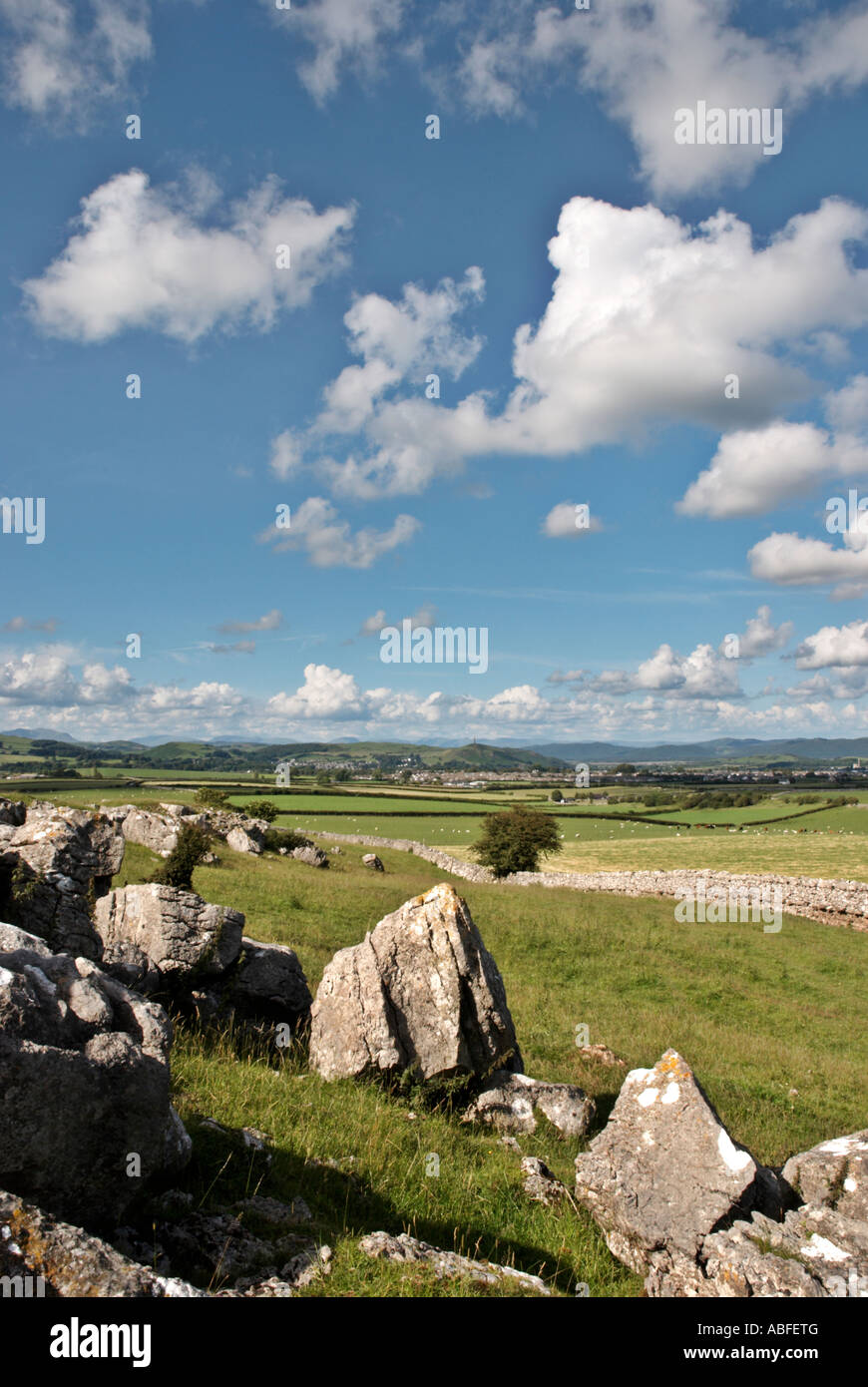 Limestone Outcrop An oucrop of Carboniferous Limestone Stock Photo - Alamy