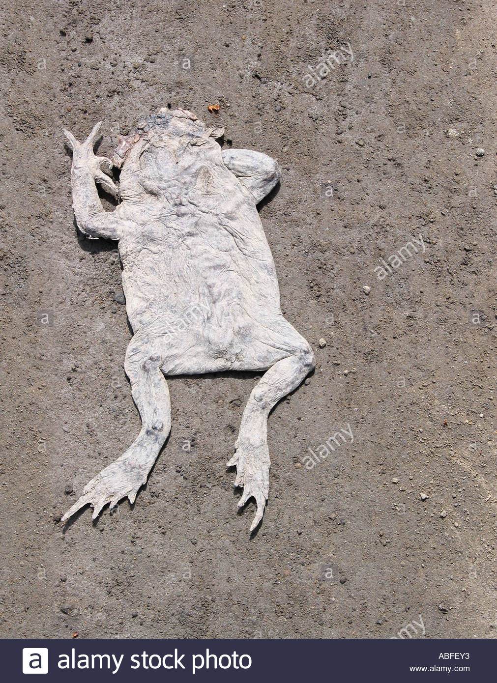 Garn Yr Erw Stock Photos & Garn Yr Erw Stock Images - Alamy