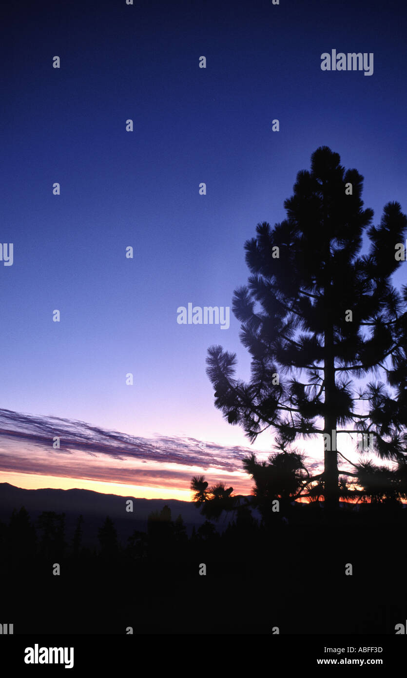 South of reno hi-res stock photography and images - Alamy