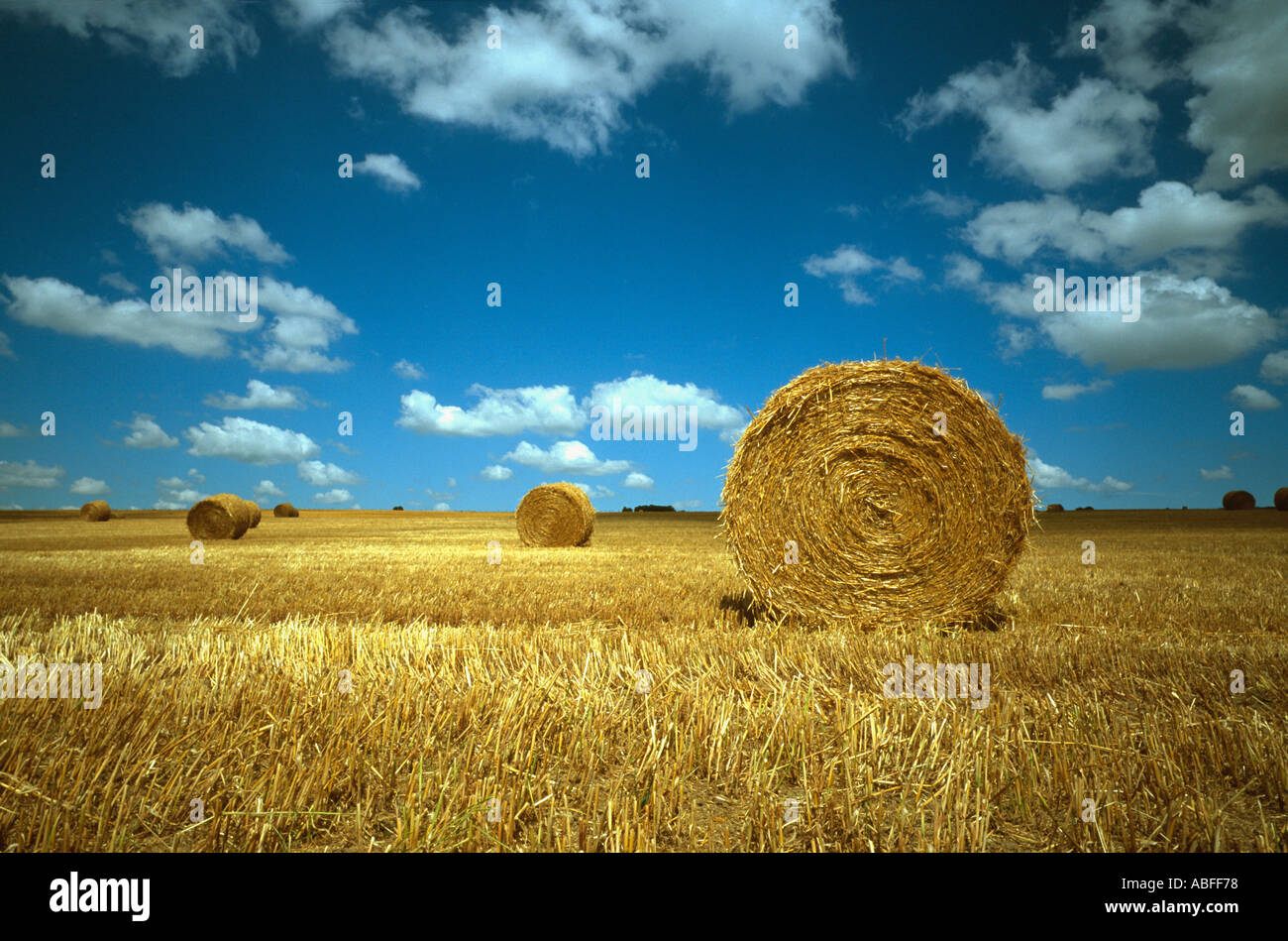Strawfield hi-res stock photography and images - Alamy