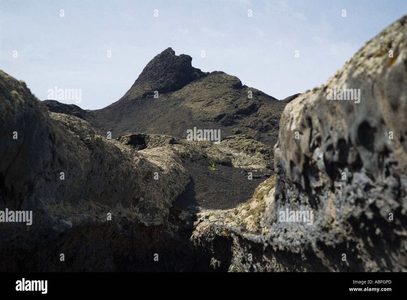 Lichen covered rocks tunnel park hi-res stock photography and images ...